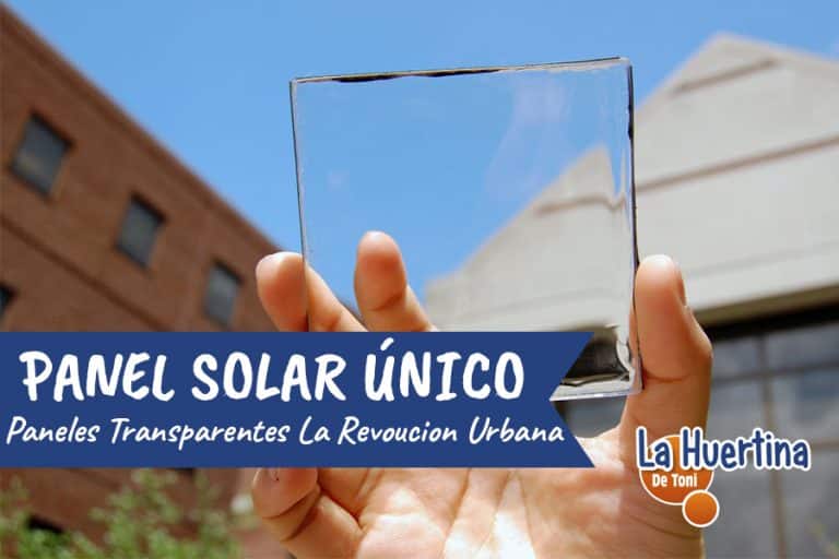 Paneles Solares Transparentes: Revolución en la Ciudad - La Huertina De ...